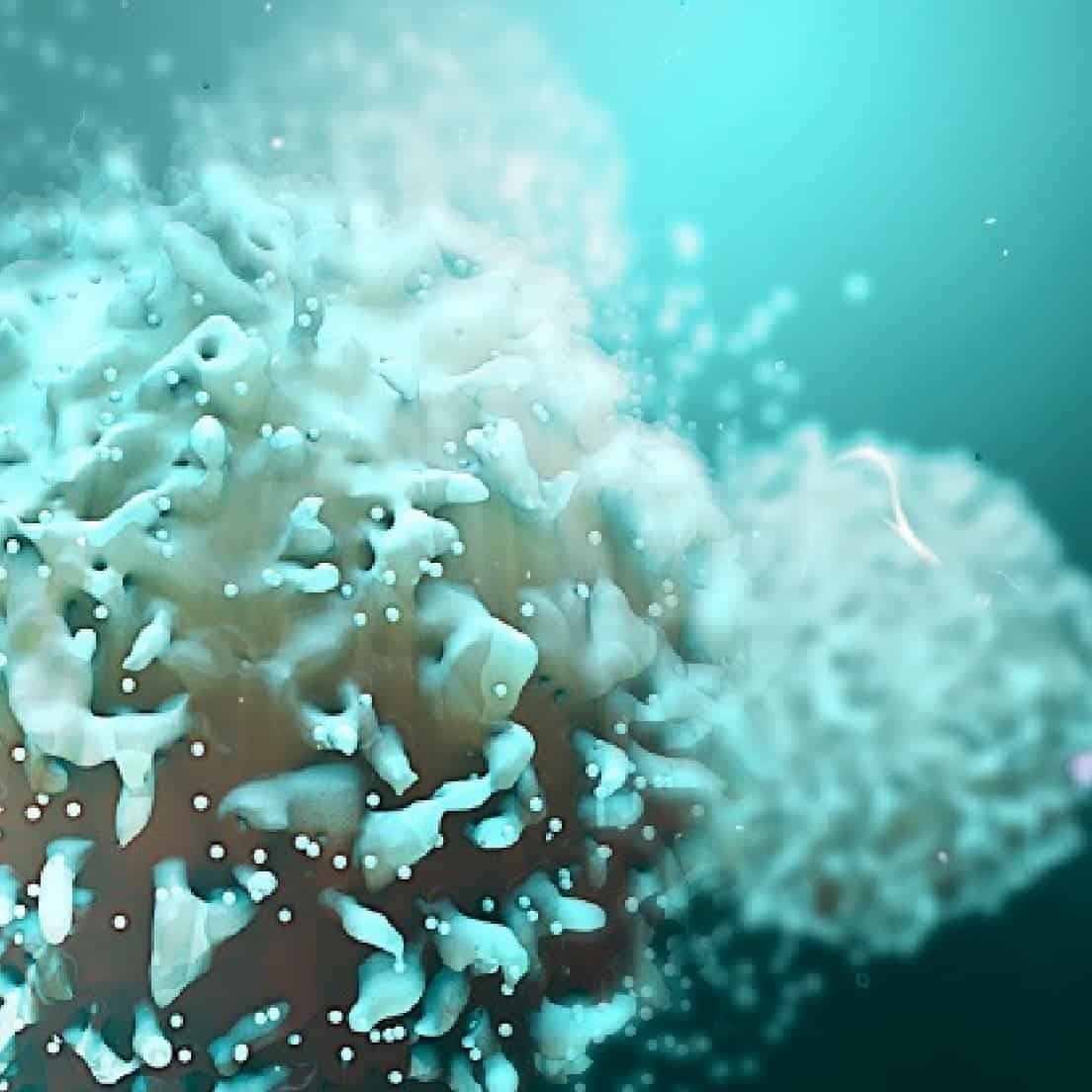 Resources - Excellos