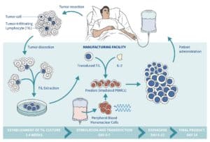 TIL Therapies Applications - Excellos